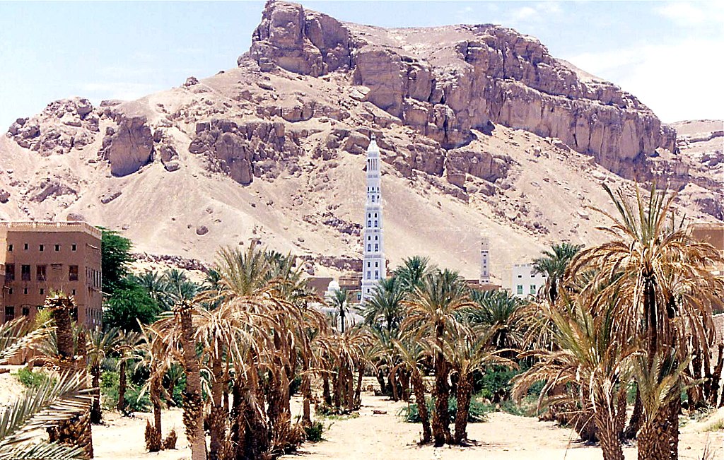 From Tribe to Trade | How Asabiyya Shaped Hadhramaut – Twinn Swan
